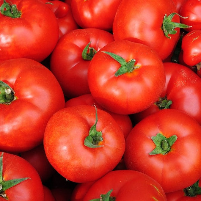 Buy Organic Heirloom non-GMO Tomato Seeds Online Now! – SeedsNow.com