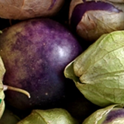 Buy Organic Non-GMO Tomatillo Seeds Online Now! – SeedsNow.com